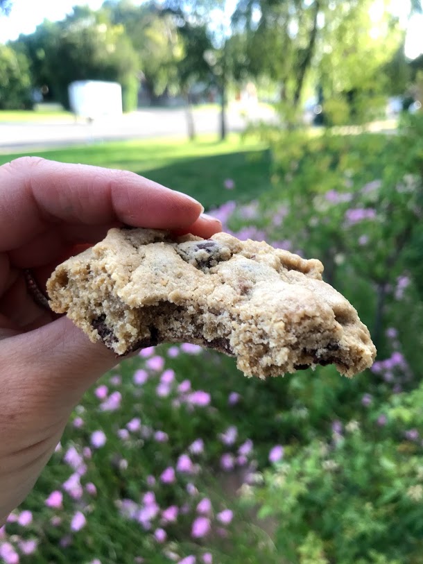 Boo Boo's Chunky Oat Chocolate Chip Cookies (6-Pack) – Pick-A-Peck Pickles